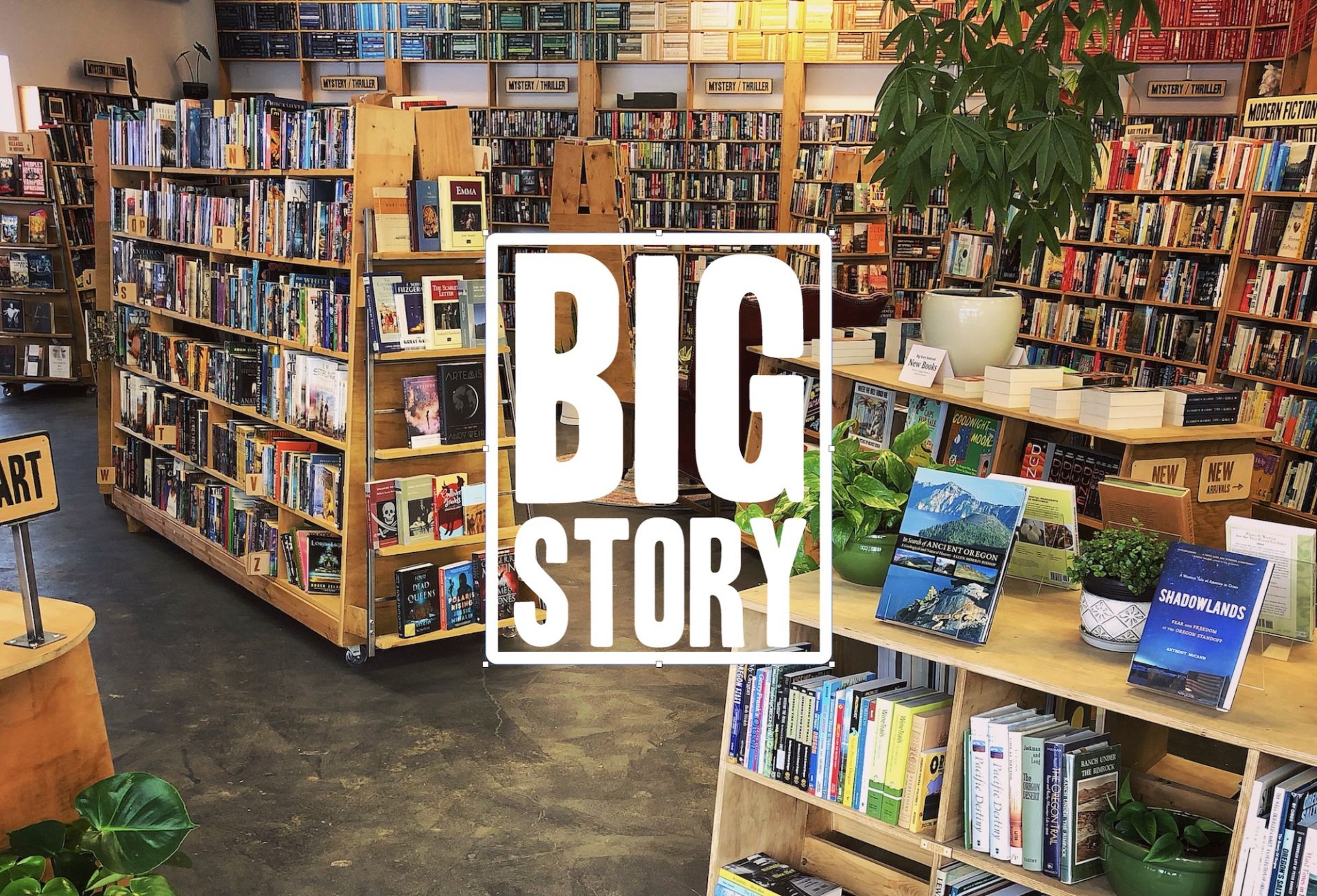 Big Story Books & Movies – Hand-selected used and new books and movies ...