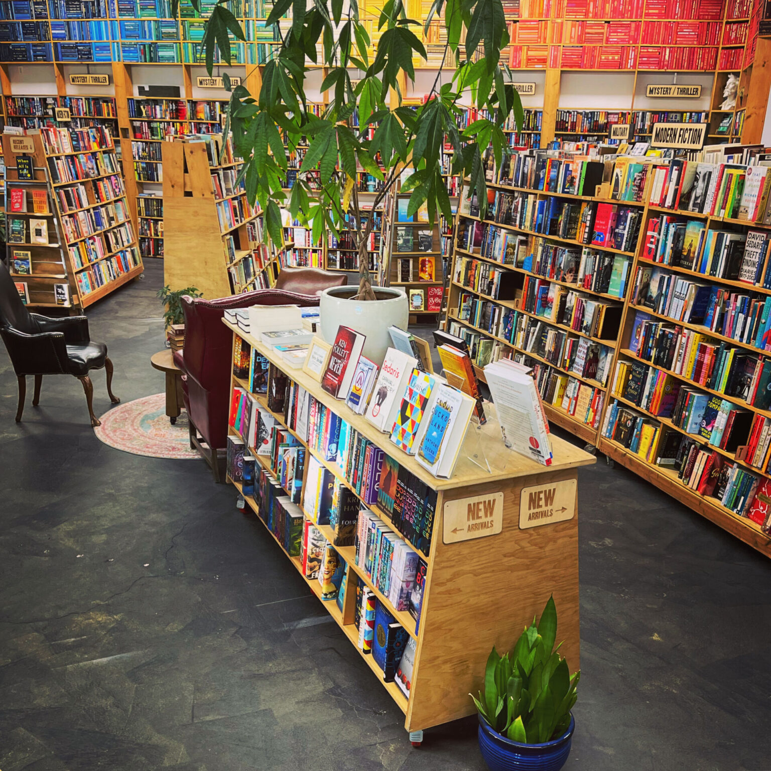 Big Story Bookstore – Thoughtfully Curated / Used + New / Books, Movies ...