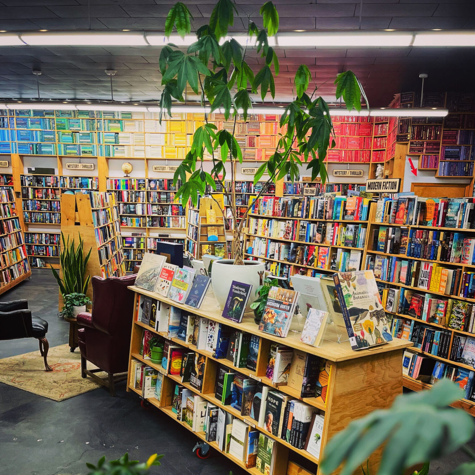 Big Story Bookstore – Thoughtfully Curated / Used + New / Books, Movies ...